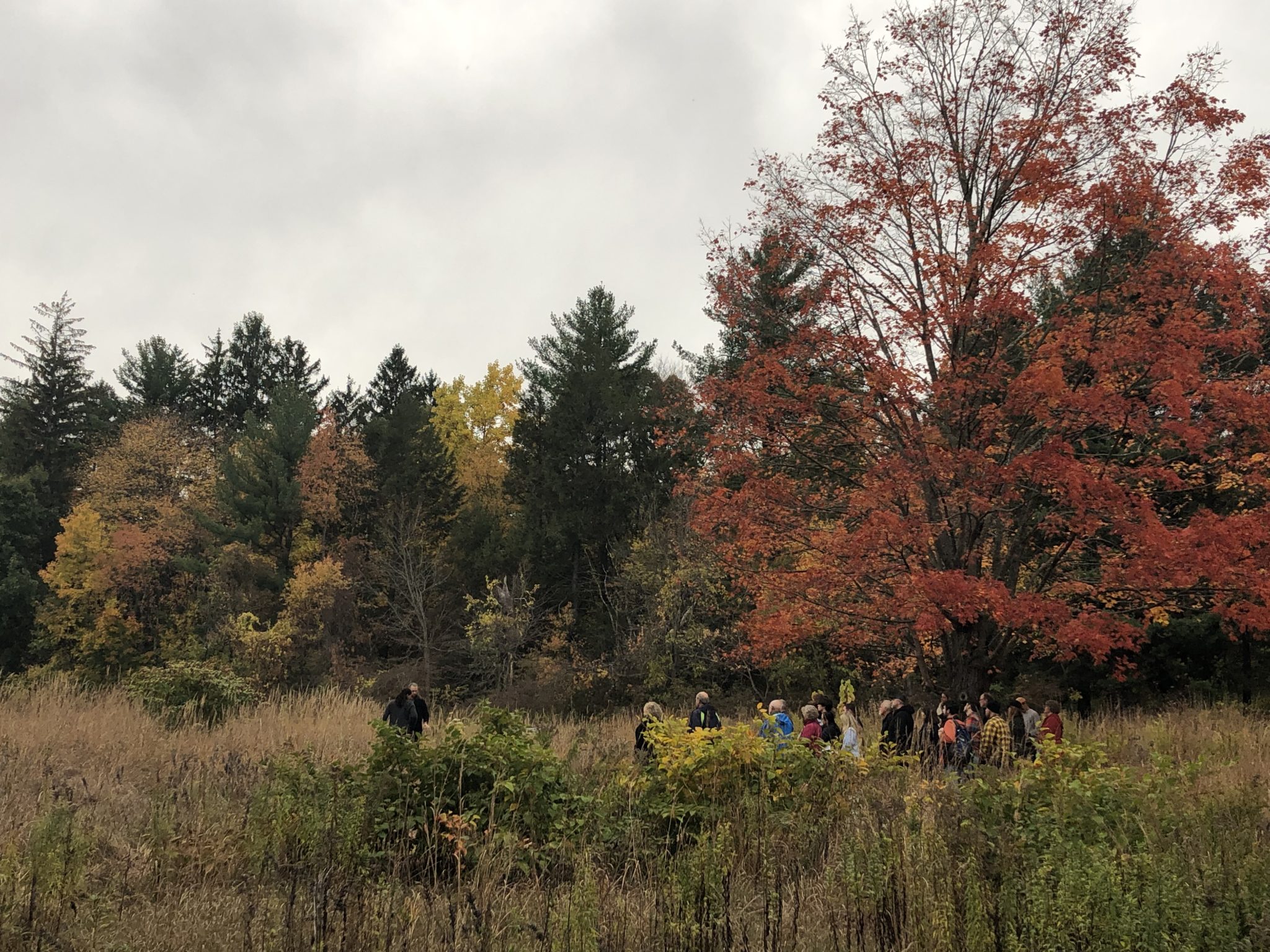 Groton Conservation Trust | Groton, Massachusetts