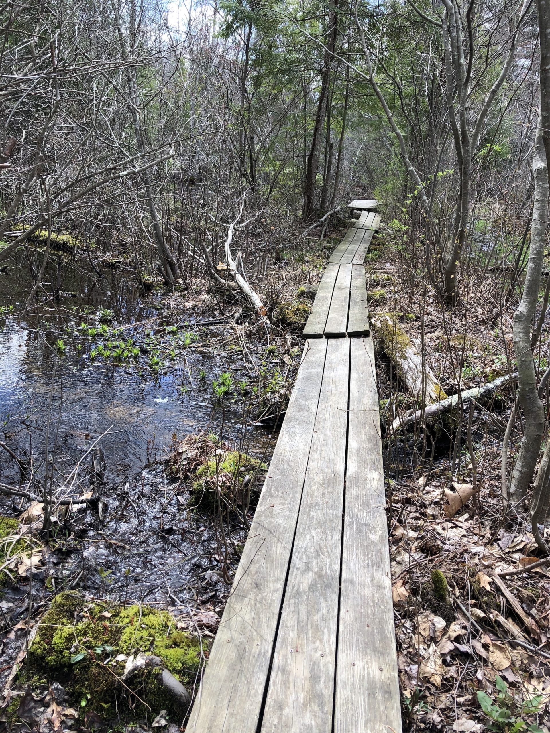 EVENTS | Groton Conservation Trust